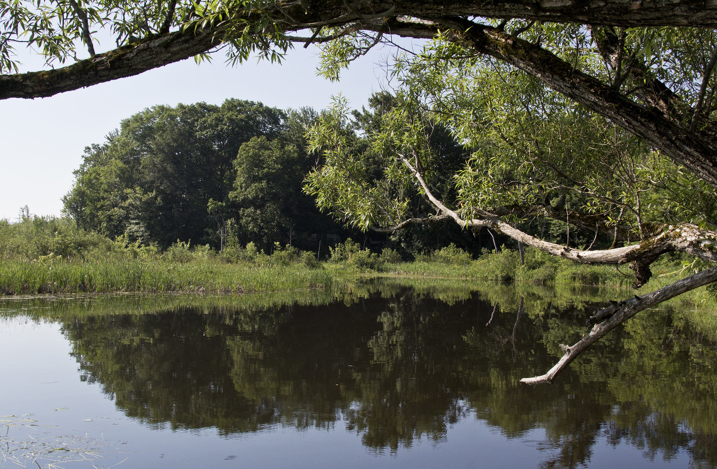The health of Brome Lake also depends on its waterways